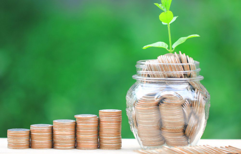 Plutus Investment Ltd | Funds Management & Investment Advisory